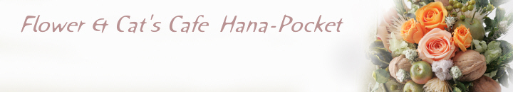 Flower & Cats' Cafe Hana-Pocket